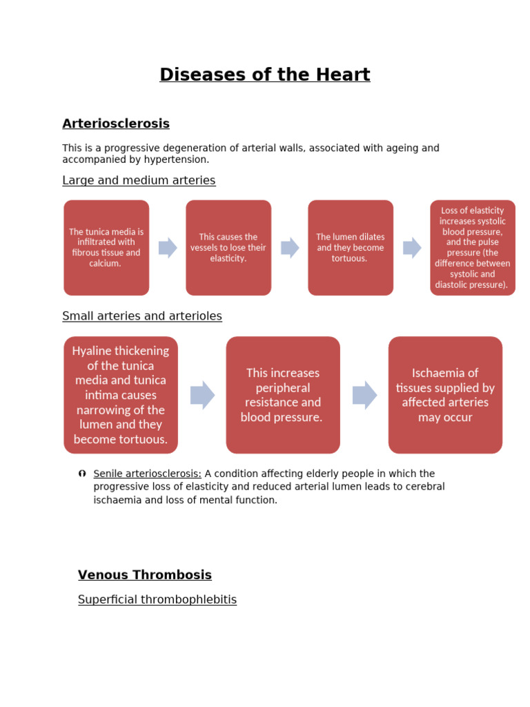 Diseases of The Heart Assignment by Vishesh Aggarwal | PDF | Vein ...