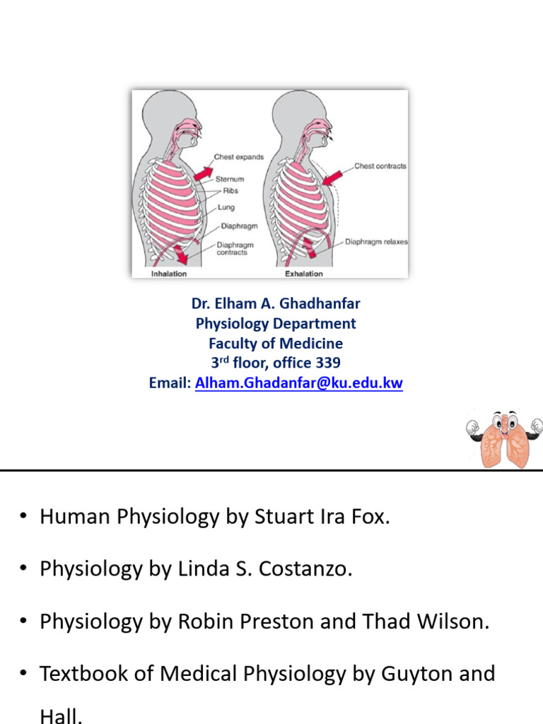Mechanics of Breathing Explained | PDF | Lung | Respiratory Tract