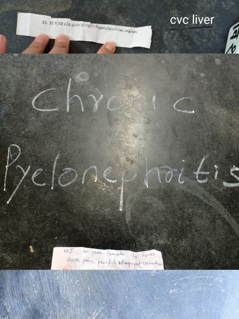 Cheats and Histopath Slide | PDF