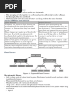 Tissues Class 9 Notes | PDF | Epithelium | Tissue (Biology)