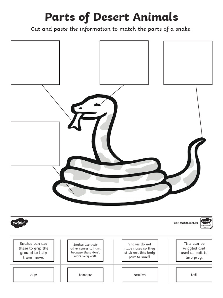 Au SC 2201 Parts of Desert Animals Cut and Paste Activity Sheets - Ver ...
