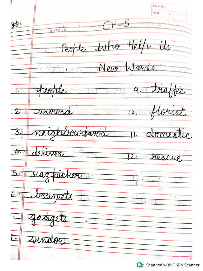 EVS November 1 Week Work | PDF