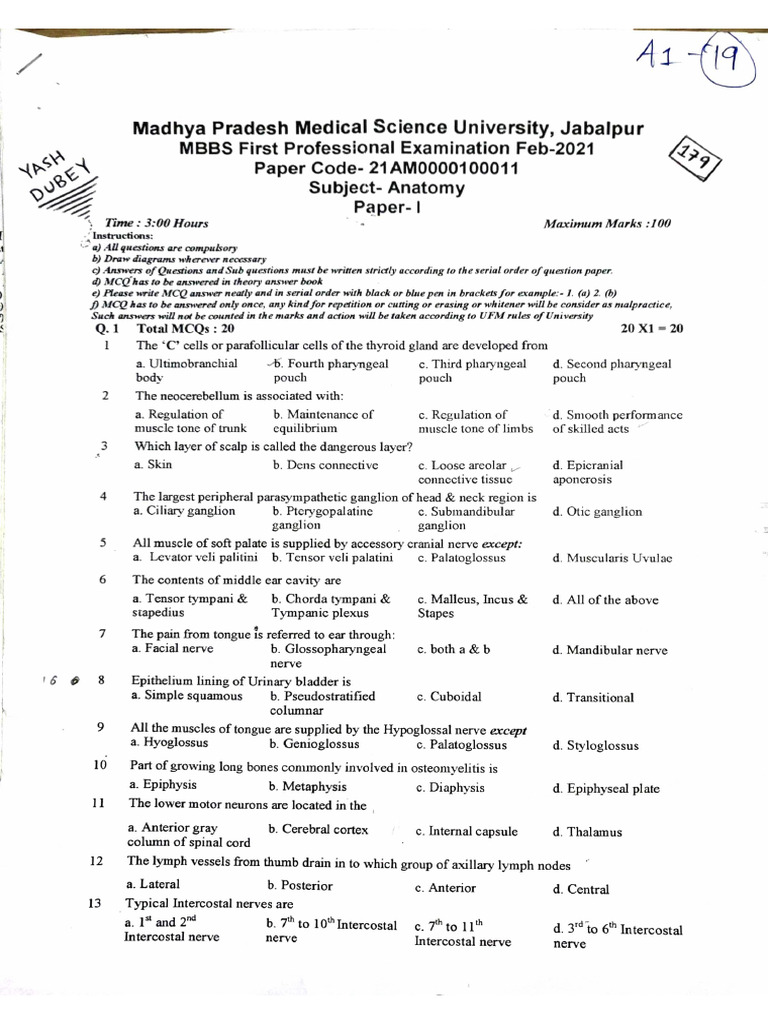 1st Proff 14-19 MPMSU Papers | PDF | Common Carotid Artery | Human Leg