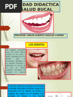 Diferentes Caras Del Diente | PDF | Odontología | Anatomia dental