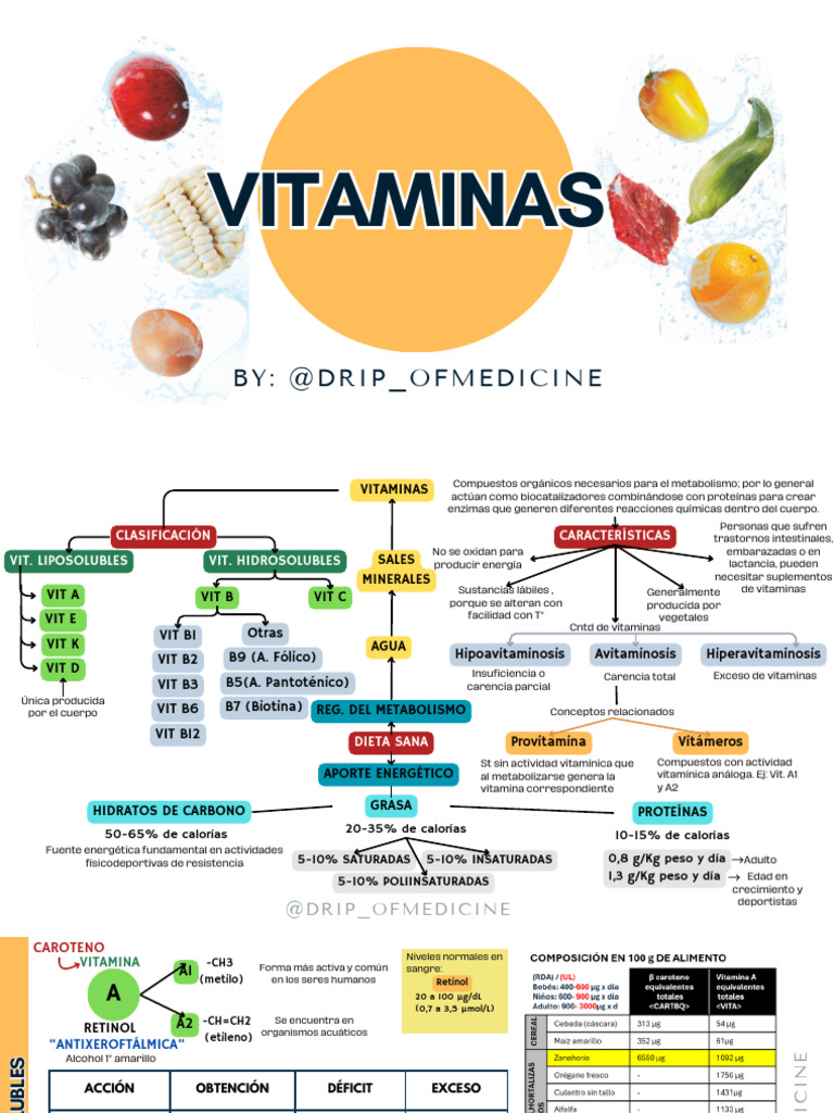 Guía Completa sobre Vitaminas | PDF | Vitamina D | Productos naturales