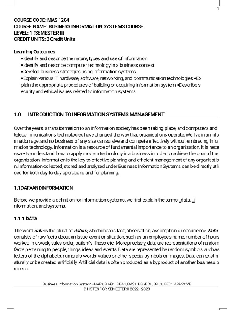 Business Information System Notes - Theory - Phoenix | PDF