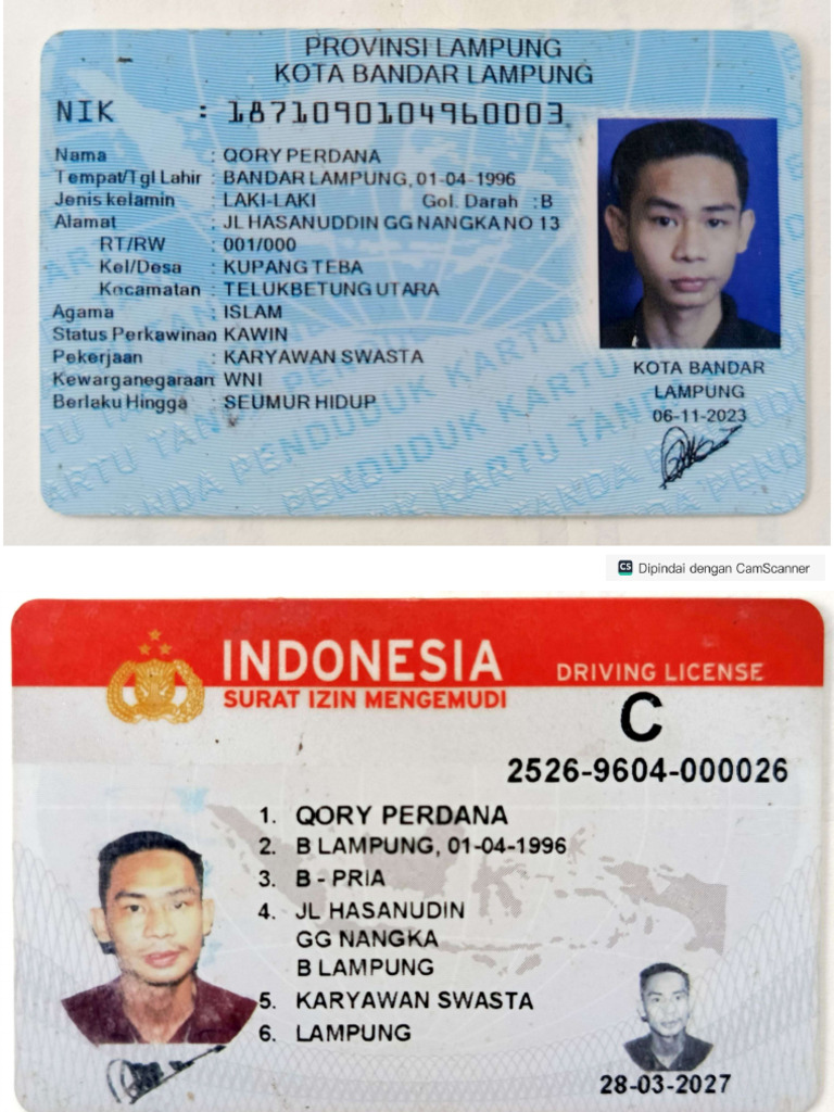 CV Data Qory | PDF