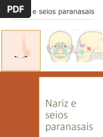 Anatomia Do Nariz e Seios Da Face | PDF | Sistema Esquelético | Otorrinolaringologia