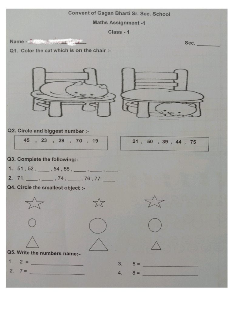 Maths Assignment | PDF