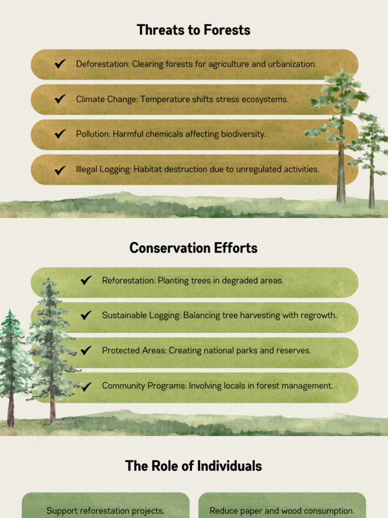 Forest Education Presentation in Green Beige Nature Watercolor Style ...