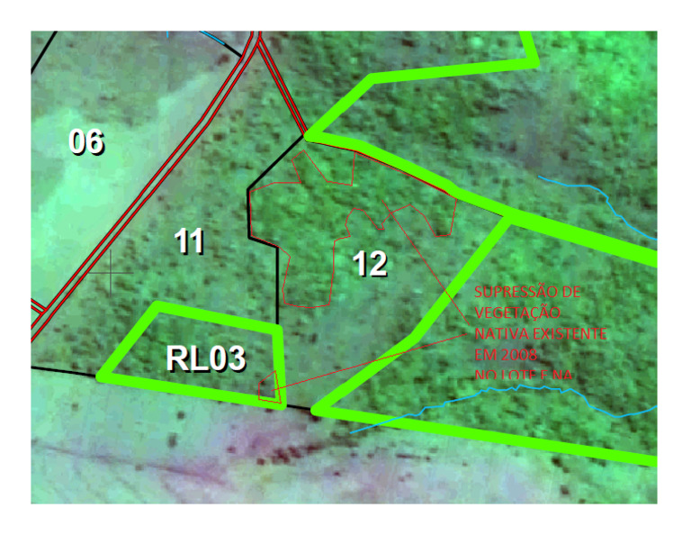 Mapa Lote 12 Ano de 2008 COM SUPRESSAO DE VEGETACAO NATIVA | PDF