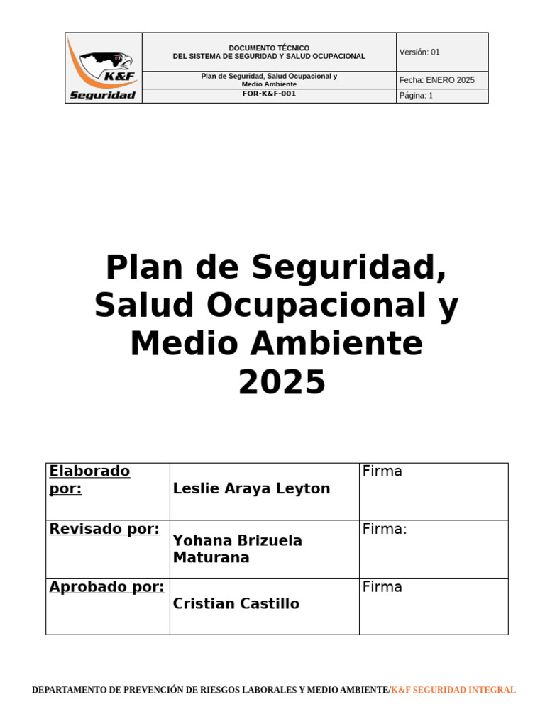 PROGRAMA ANUAL DE PREVENCION 2025 | PDF | Seguridad y salud ocupacional | Valores