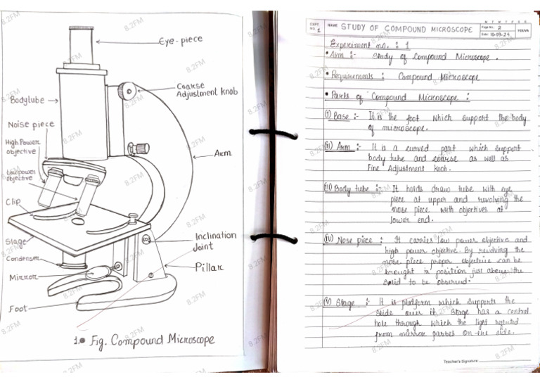 Botany Practical XI - 20250505 | PDF