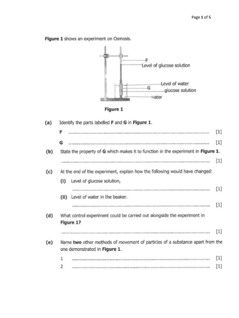 Transport Across The Cell Membrane - SQs - DRAFT - 111737 | PDF