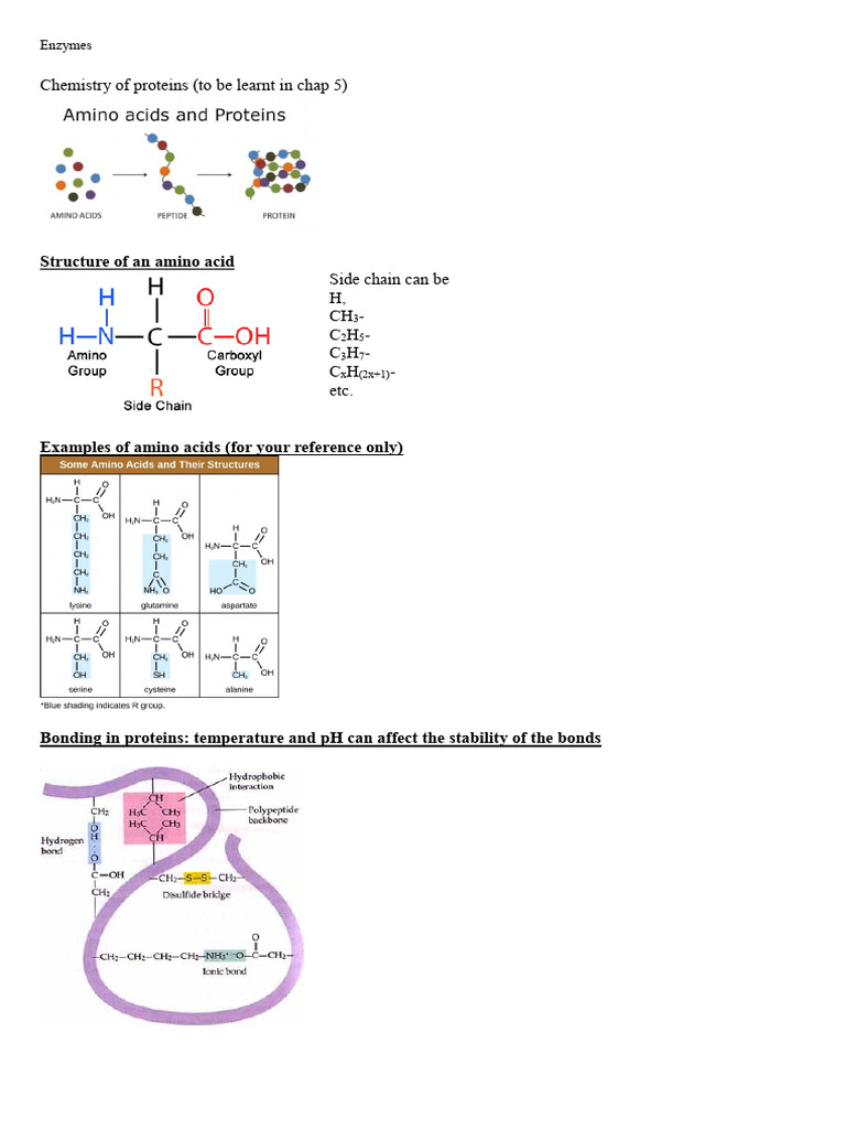 Chemistry of Proteins (To Be Learnt in Chap 5) | PDF
