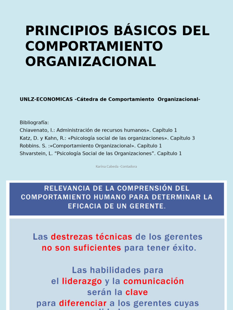 2023-Principios Básicos Del Comportamiento Organizacional | PDF | Comportamiento ...