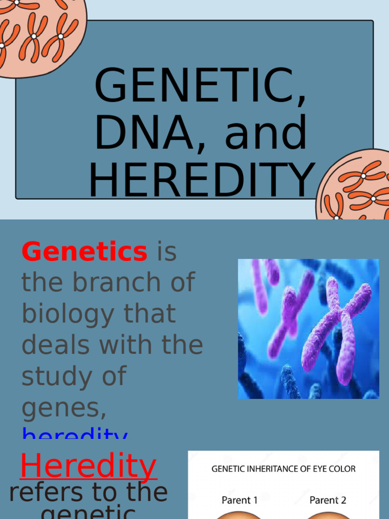 Genetics and Heredity | PDF