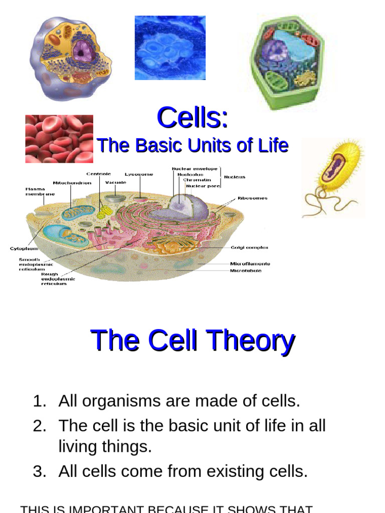 Cell As Basic Unit of Life | PDF | Cell (Biology) | Endoplasmic Reticulum
