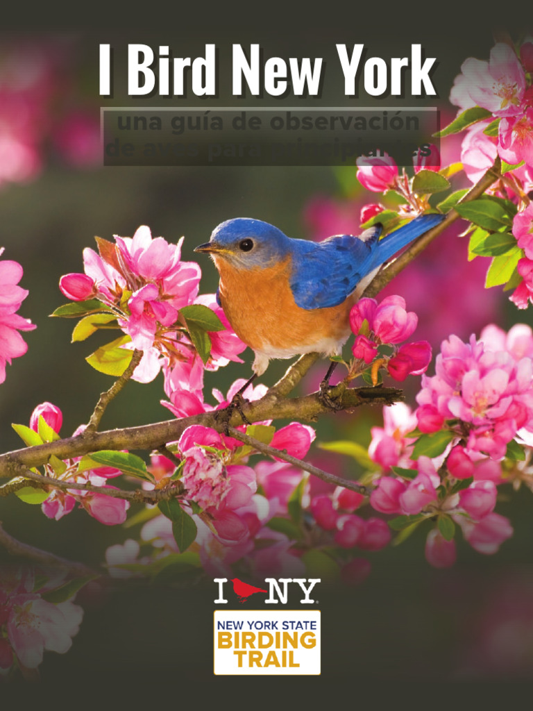 Beg Bird Guide Spanish | PDF | Aves | Habitat