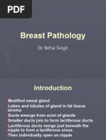 Pathology Outlines - Nonproliferative Fibrocystic Changes | PDF ...