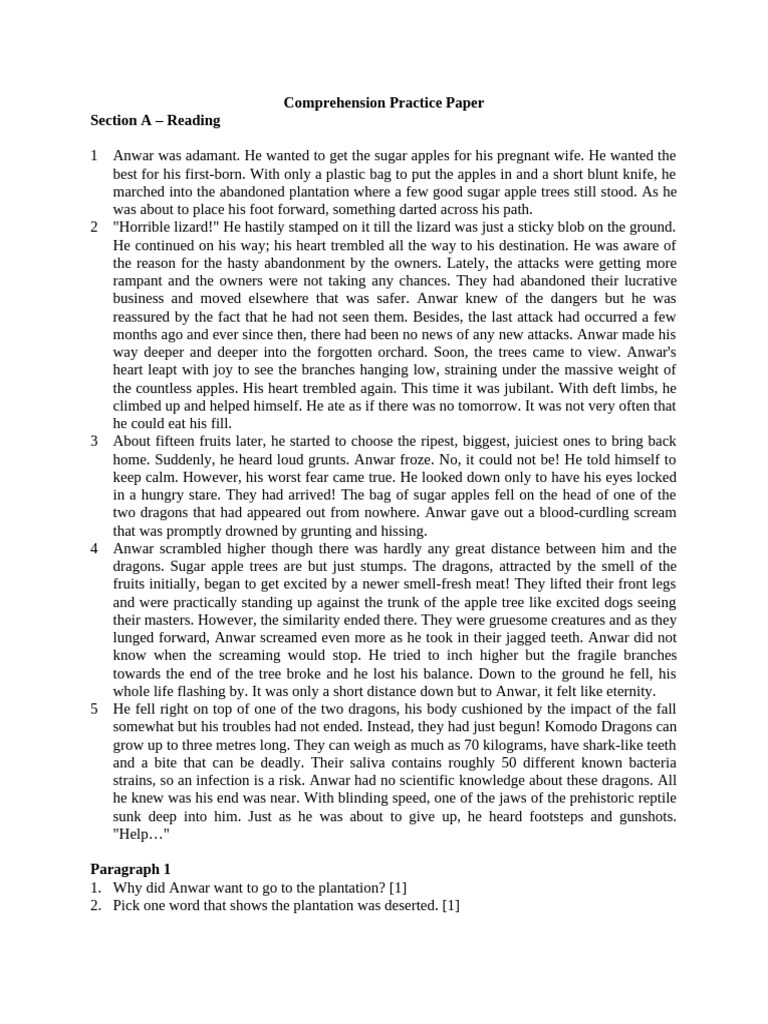 Comprehension Practice Paper | PDF