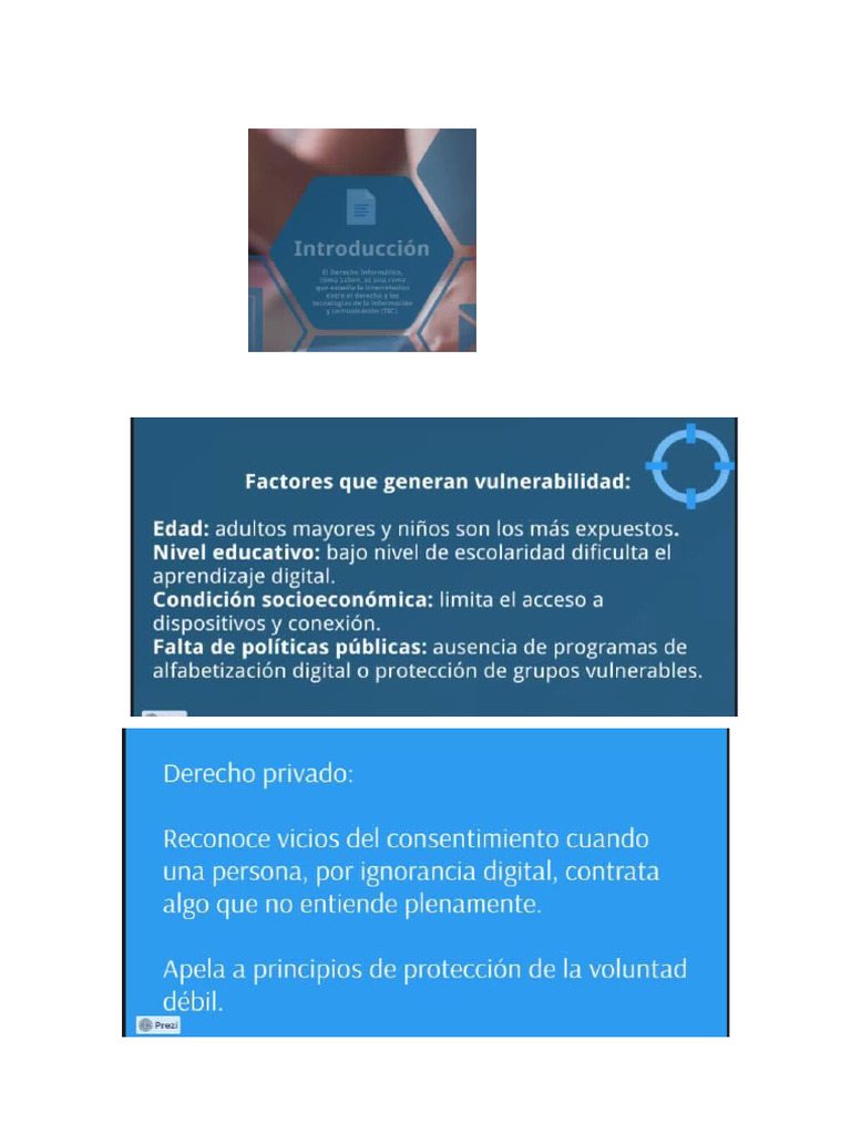 Seminario de deitos informáticos | PDF