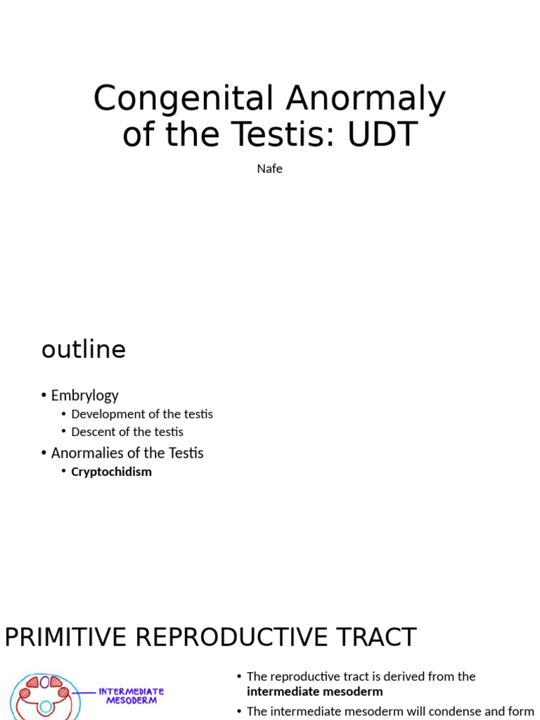 Anormalies of The Testis | PDF | Testicle | Genitourinary System