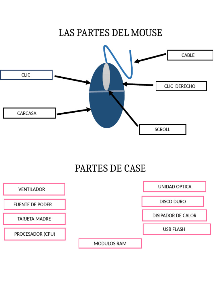 Las Partes Del Mouse | PDF