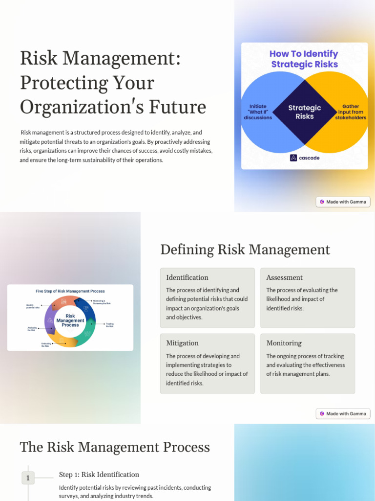 Risk Management Protecting Your Organizations Future | PDF | Risk ...