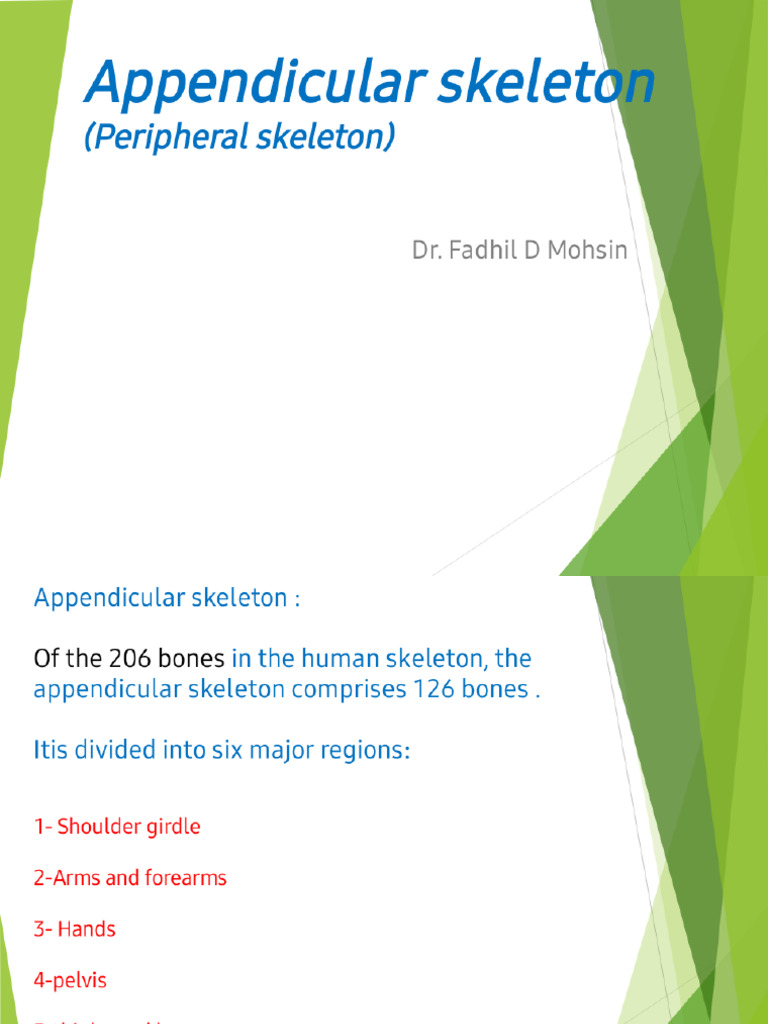 Appendicular Skeleton . | PDF