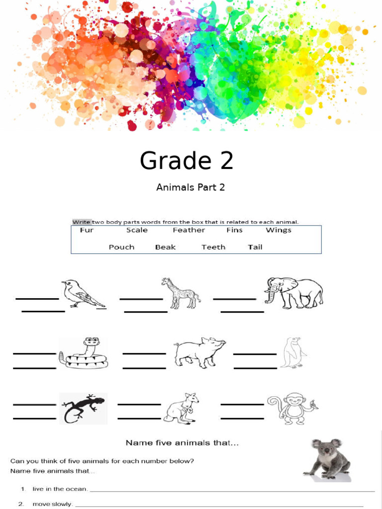 2nd Grade - March 3rd Class - Animals 2 | PDF