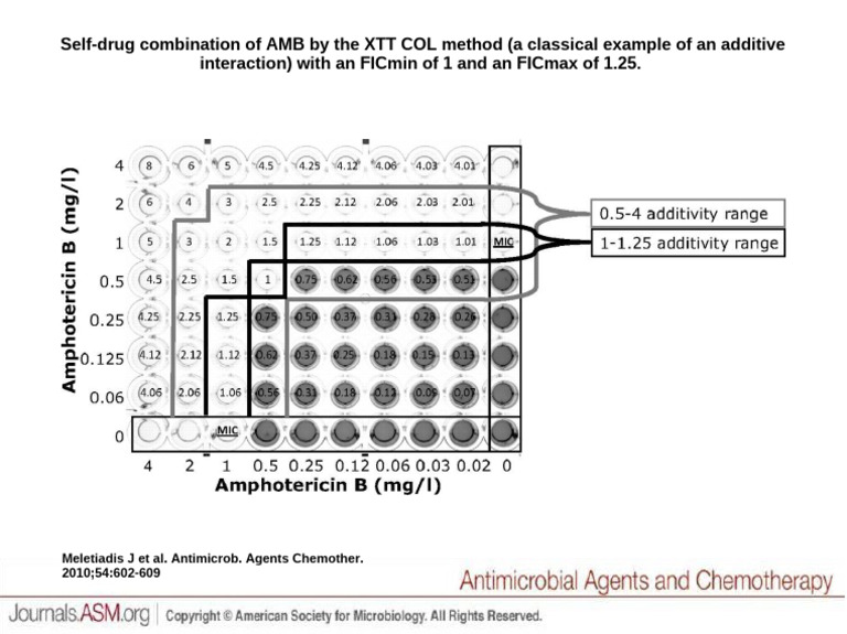 MIC Determination | PDF