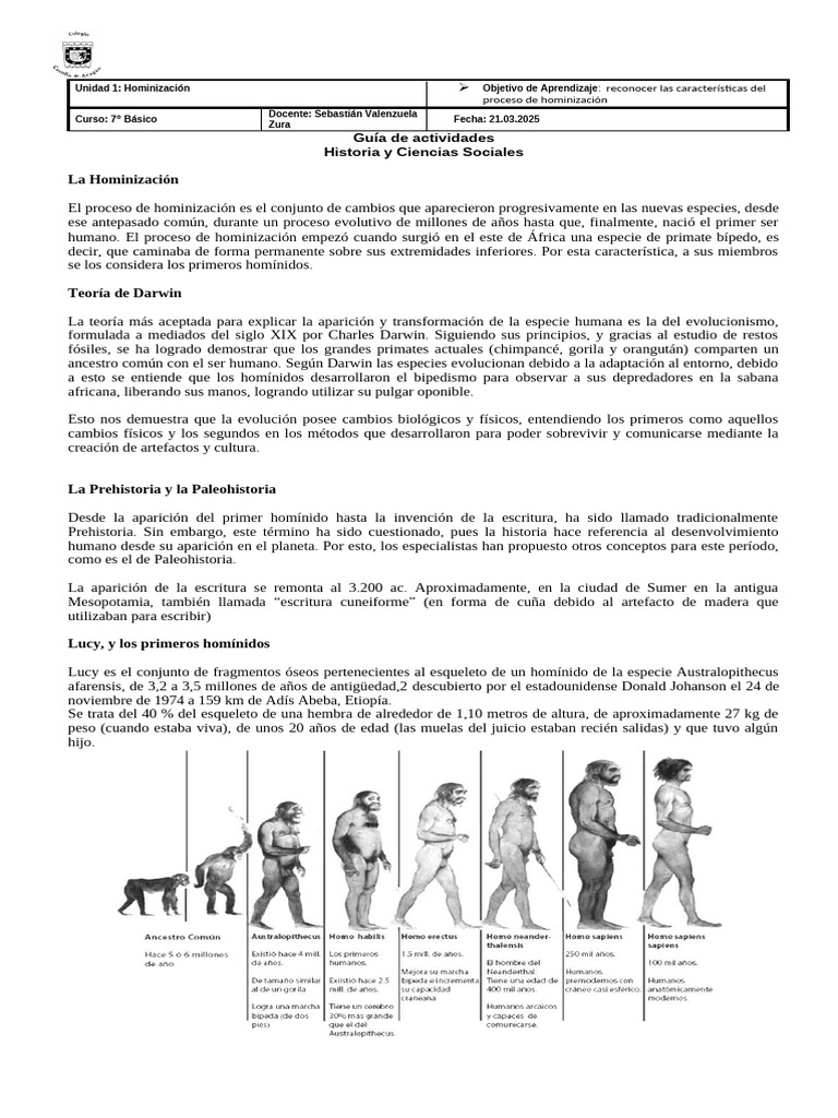 Guía Hominización | PDF | Lucy (Australopithecus) | Evolución humana