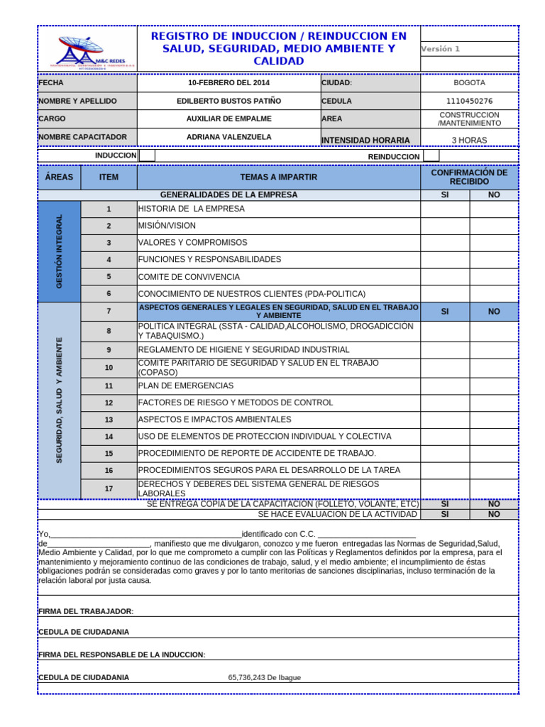 Formato de Induccion y Reinduccion | PDF | Valores | La dependencia de sustancias