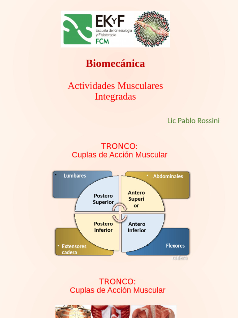 Integración Raaquis Biomec Jun2023 - Práctico | PDF