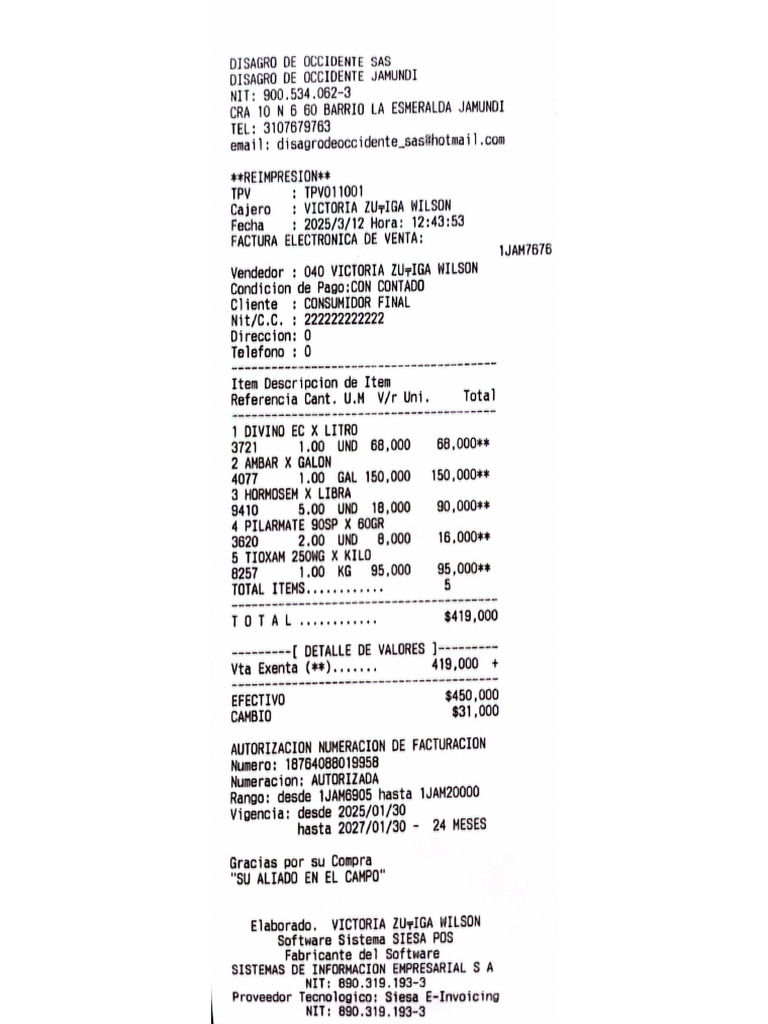 Factura LUIS GUARIN | PDF