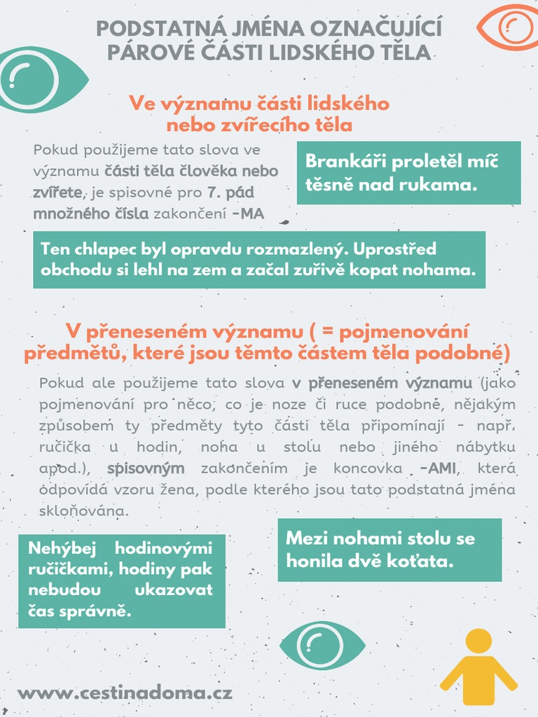 Podstatná Jména Označující Párové Části Lidského Těla | PDF