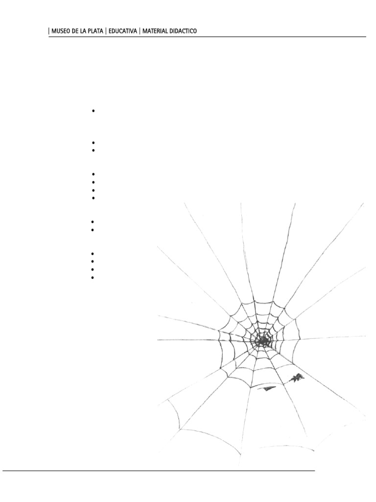 aprendiendo_aranas | PDF