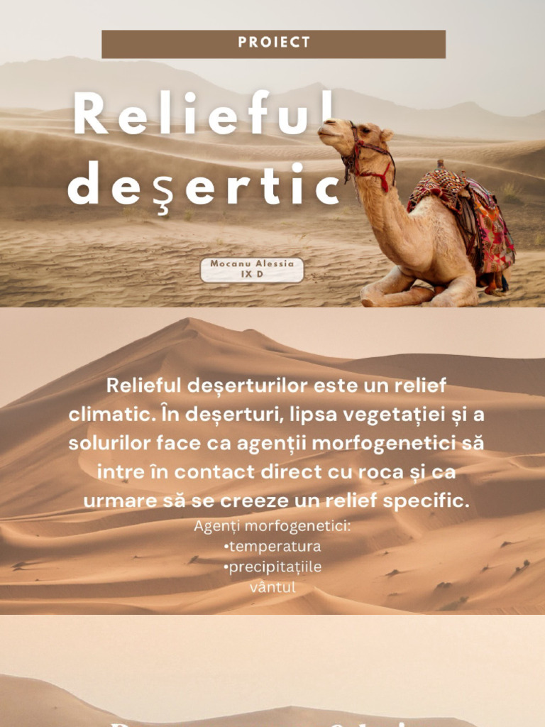 Desert Landscapes Across Continents | PDF