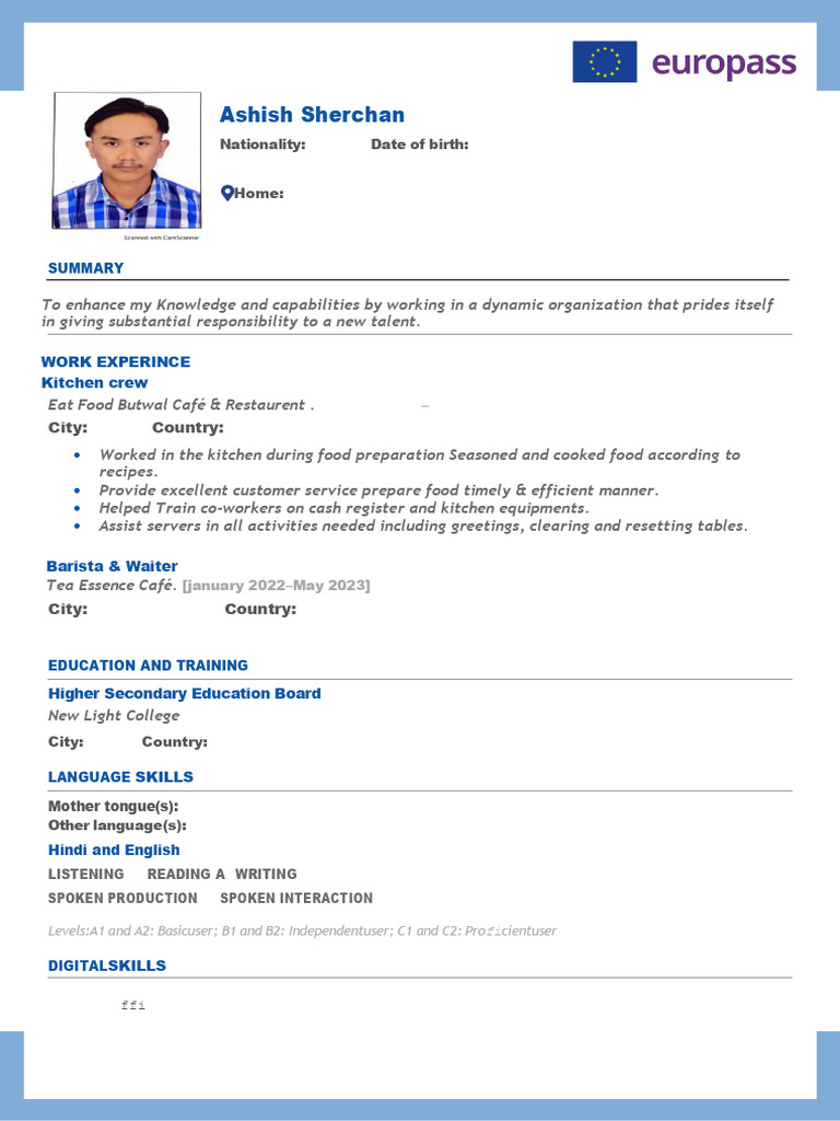Ashish Sherchan's Professional Profile | PDF