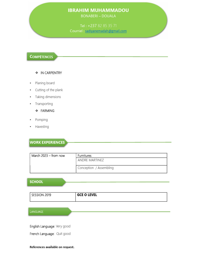 CV Ibrahim Muhhammadou | PDF