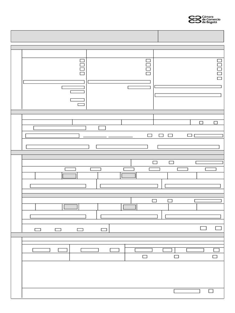 Formulario (3) | PDF | Contabilidad | Estado financiero