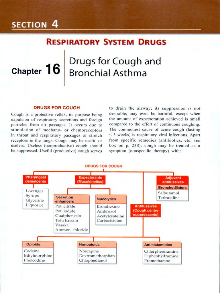 Resp Pharm (1) | PDF | Chronic Obstructive Pulmonary Disease | Exhalation