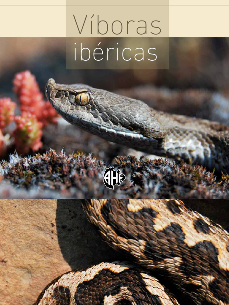 Viboras Ibericas | PDF