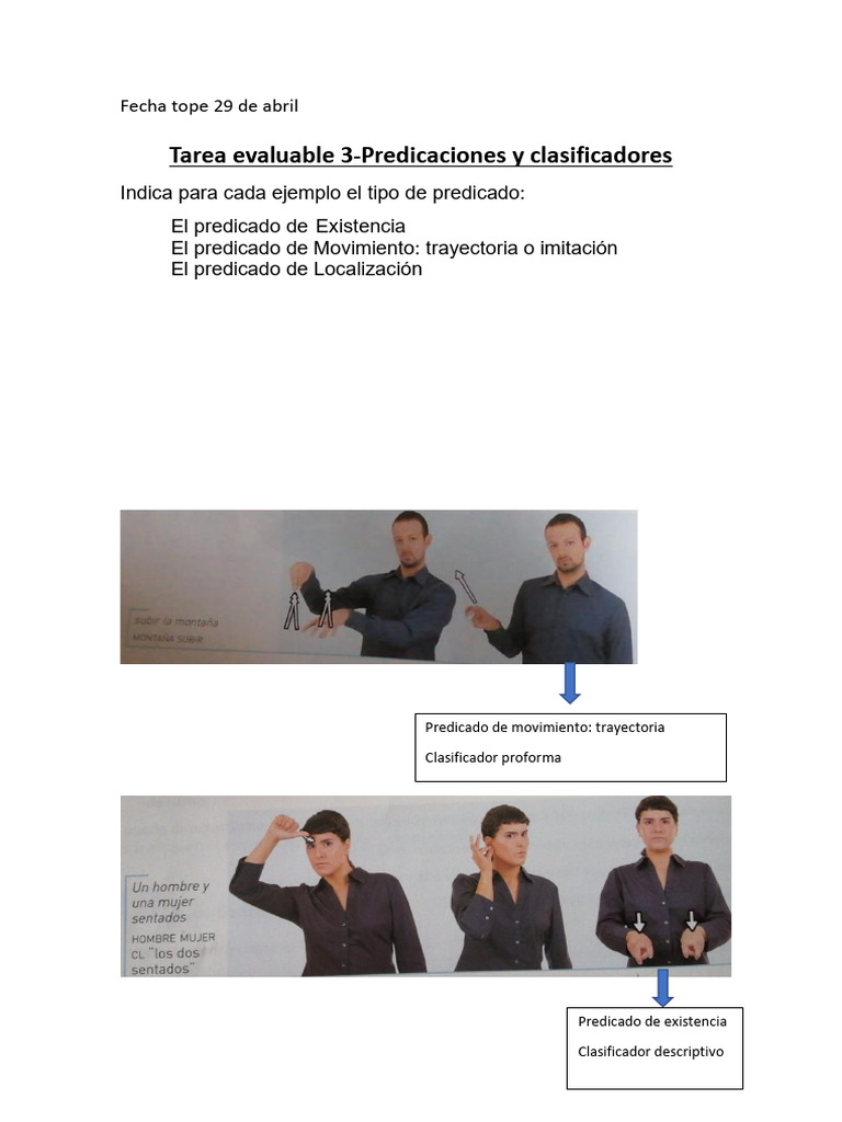 Revisión de Tarea Evaluable 3-Predicaciones y Clasificadores. | PDF