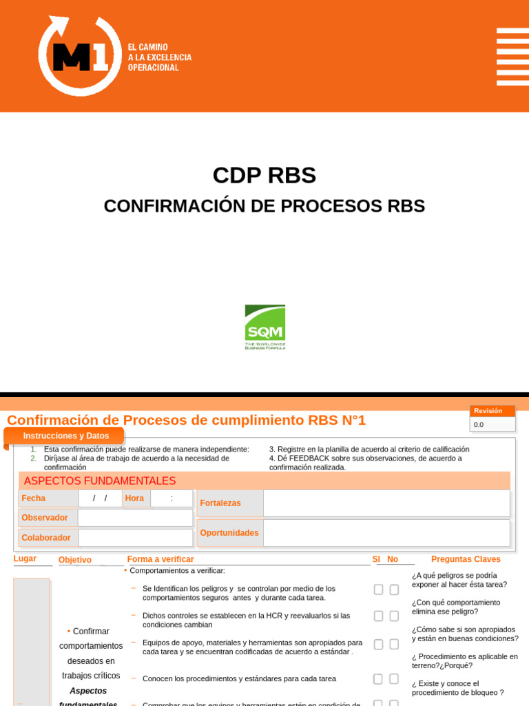 03 - Confirmación de Procesos de RBS | PDF