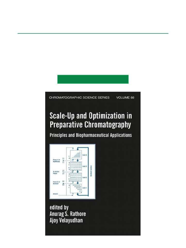 Scale Up and Optimization in Preparative Chromatography Principles and Biopharmaceutical ...