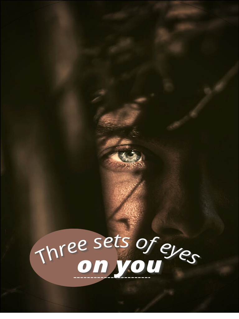 Three Sets of Eyes | PDF
