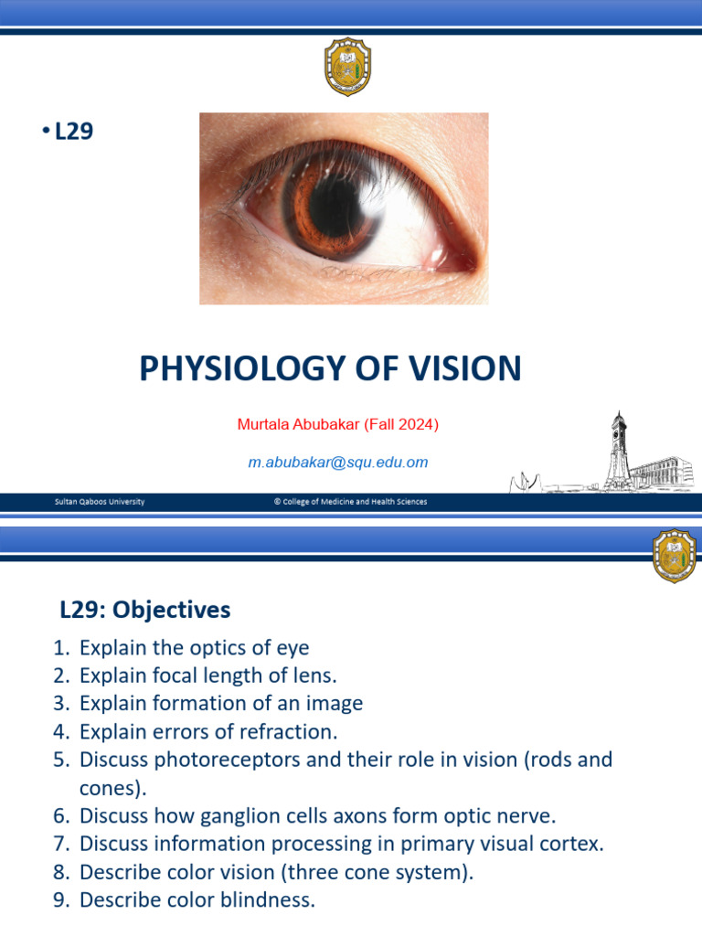 L29 - Physiology of Vision Murtala Fall 2024) | PDF | Visual System | Color