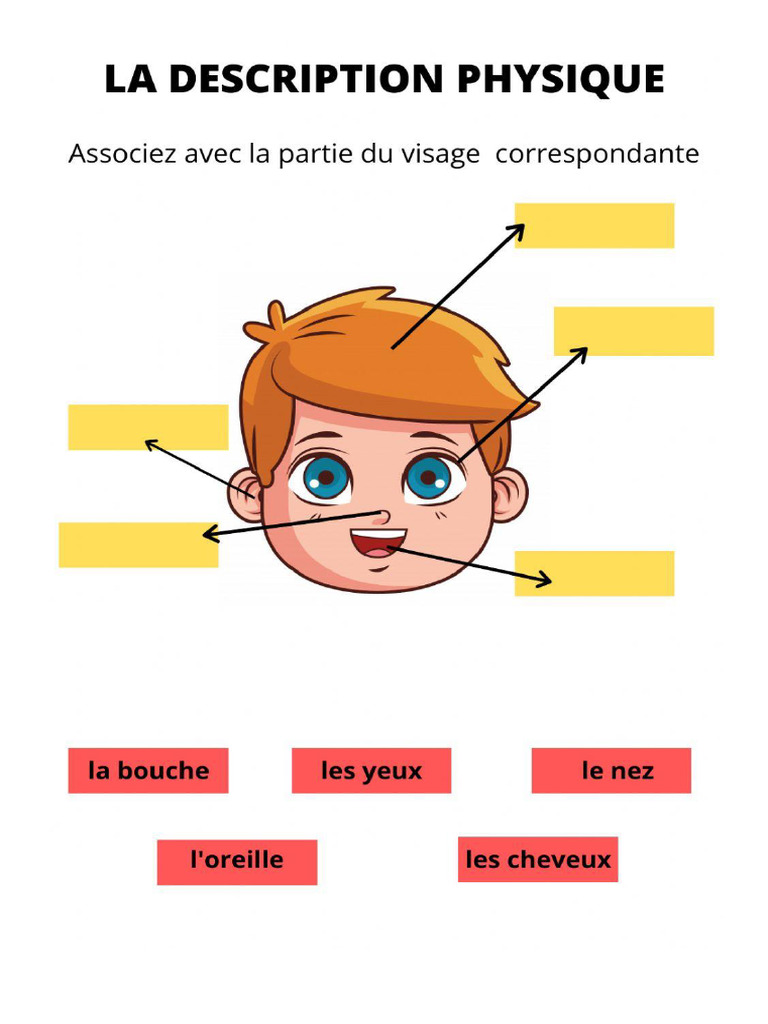 Parties Du Visage | PDF